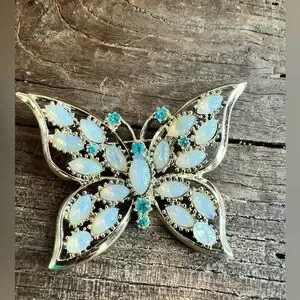 Jewelry | Brooch Pin Silvertone Butterfly Blue And White Costume ...